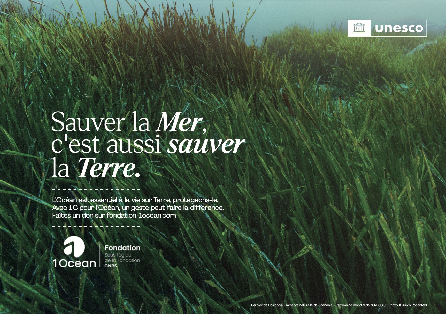 Change propose de sauver la Mer et la Terre avec la Fondation 1OCEAN et ...